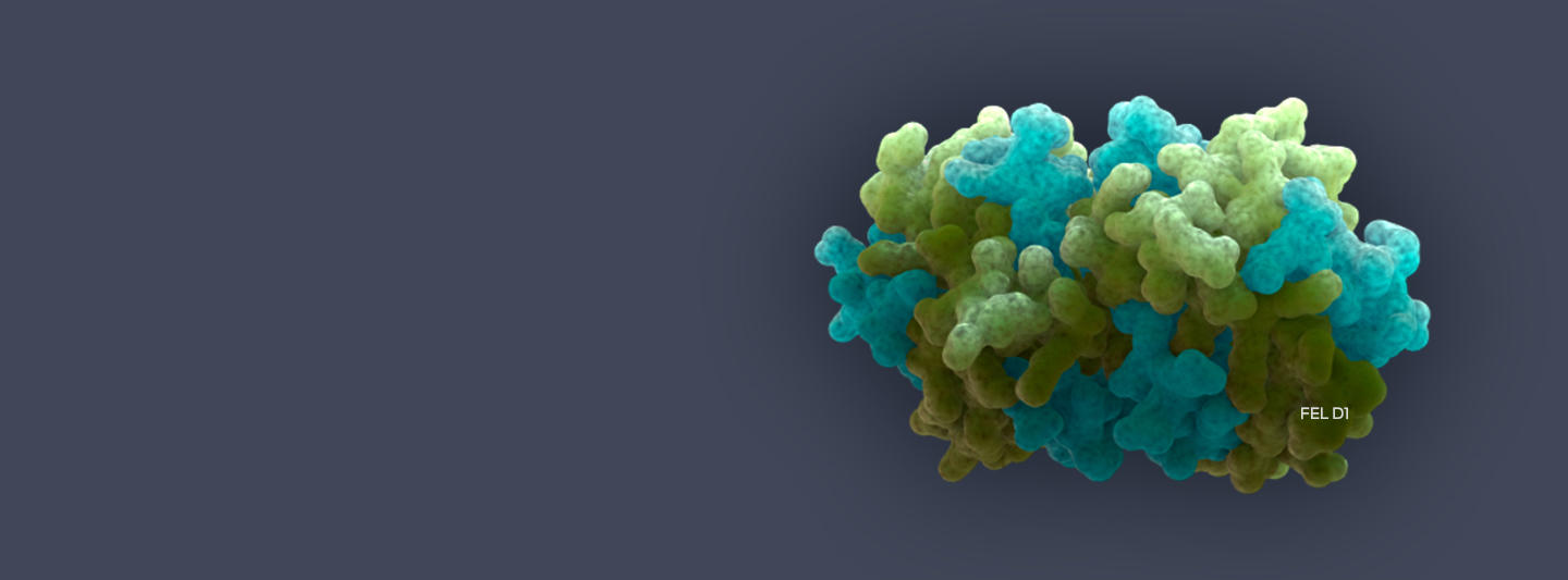 Аллергия на кошек — кошачий аллерген белок Fel d1 | Purina Институт